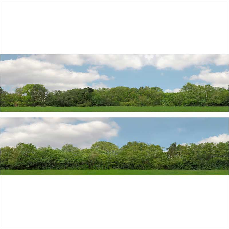 Backscenes — Model Railway Scenes